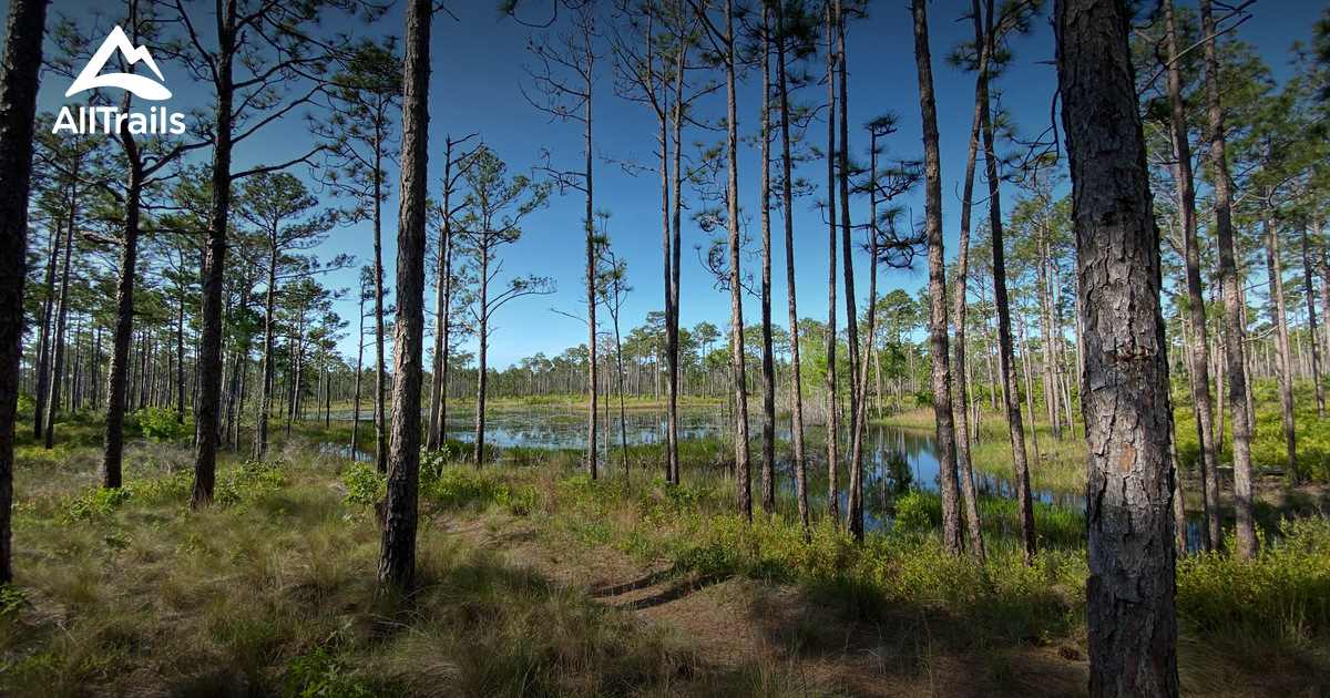 Best hikes and trails in Emerald Isle | AllTrails