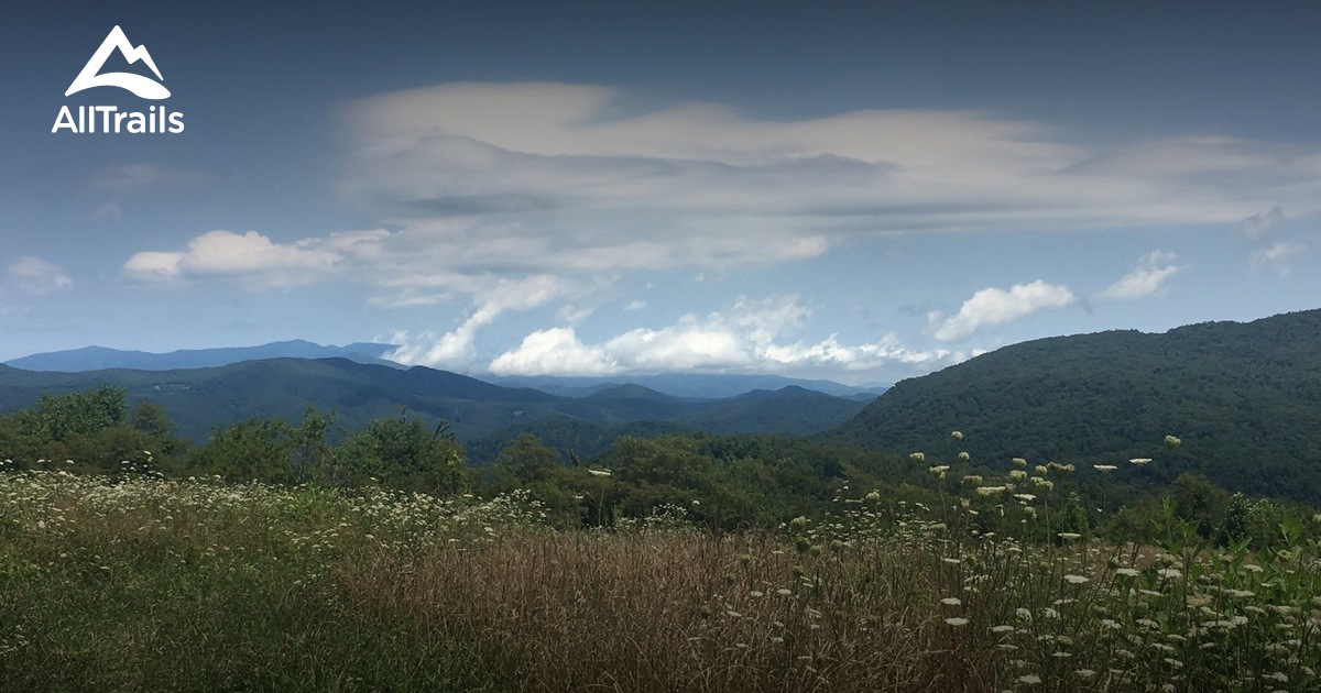 Best Trails near Gerton, North Carolina | AllTrails