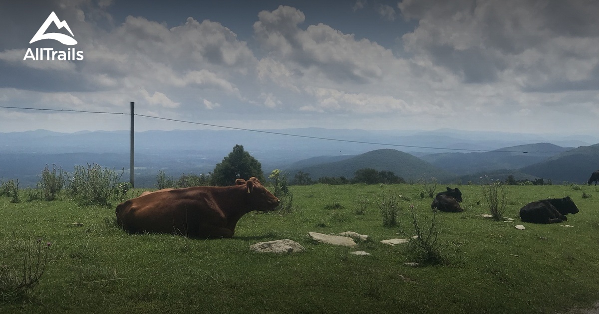 Best hikes and trails in Gerton | AllTrails