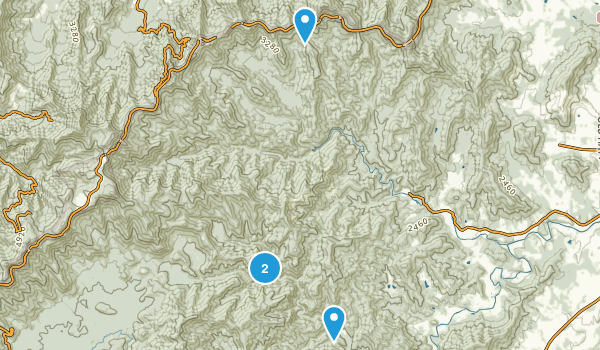 Best Trails near Horse Shoe - North Carolina | 60 Photos & 20 Reviews ...