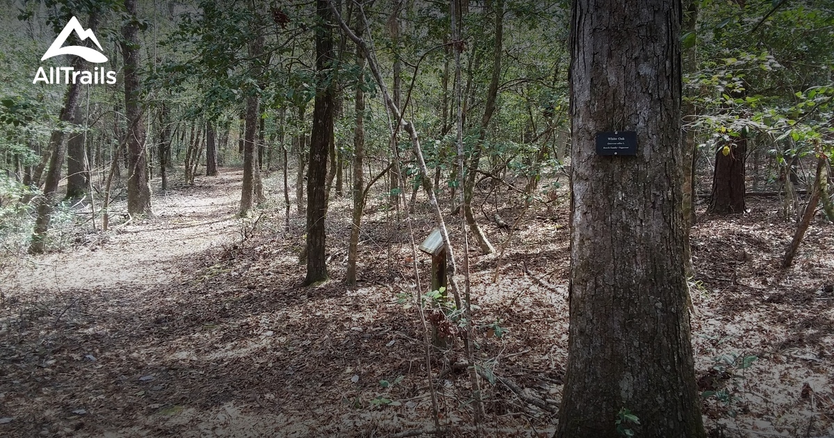 Best hikes and trails in Leland | AllTrails