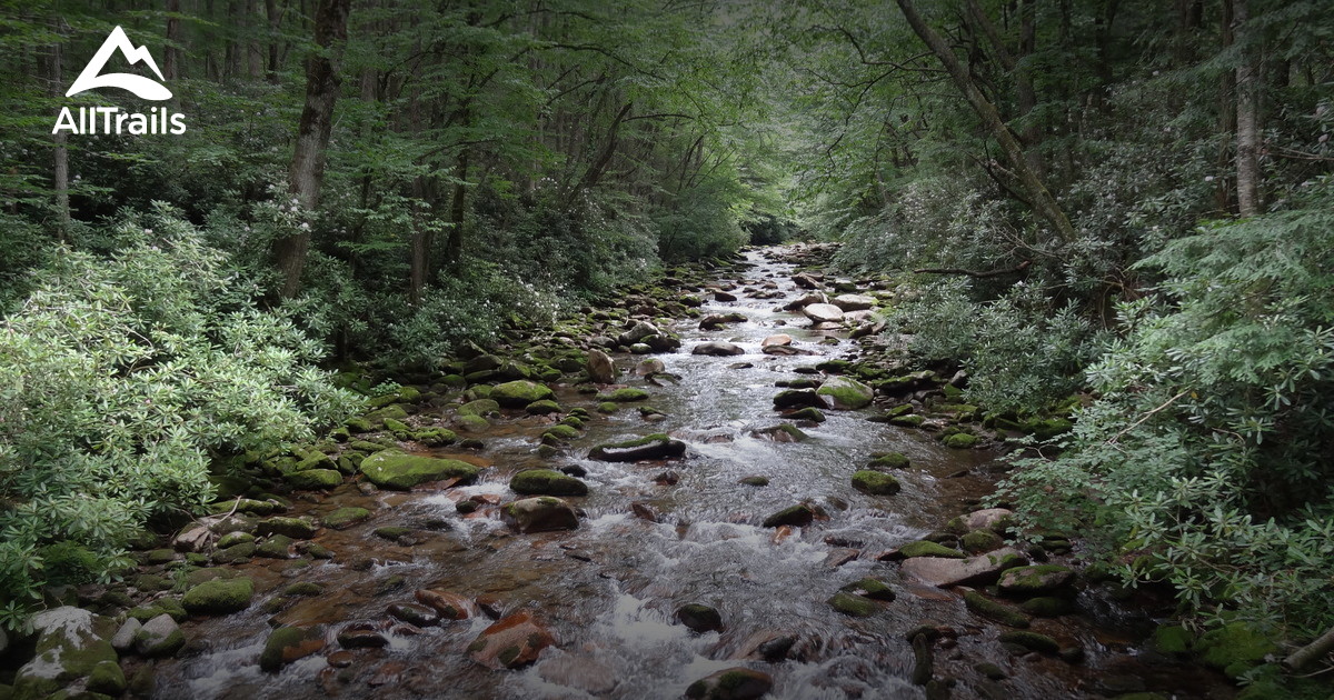 Best Trails near Maggie Valley, North Carolina | AllTrails