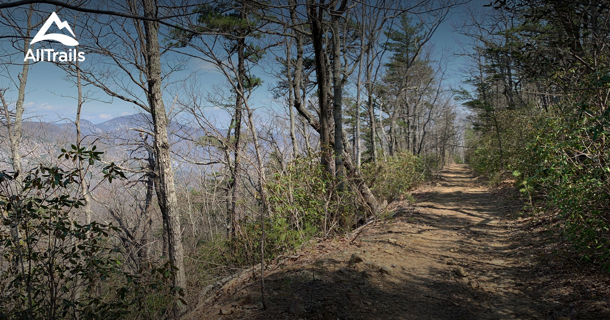 Best hikes and trails in Mill Spring | AllTrails