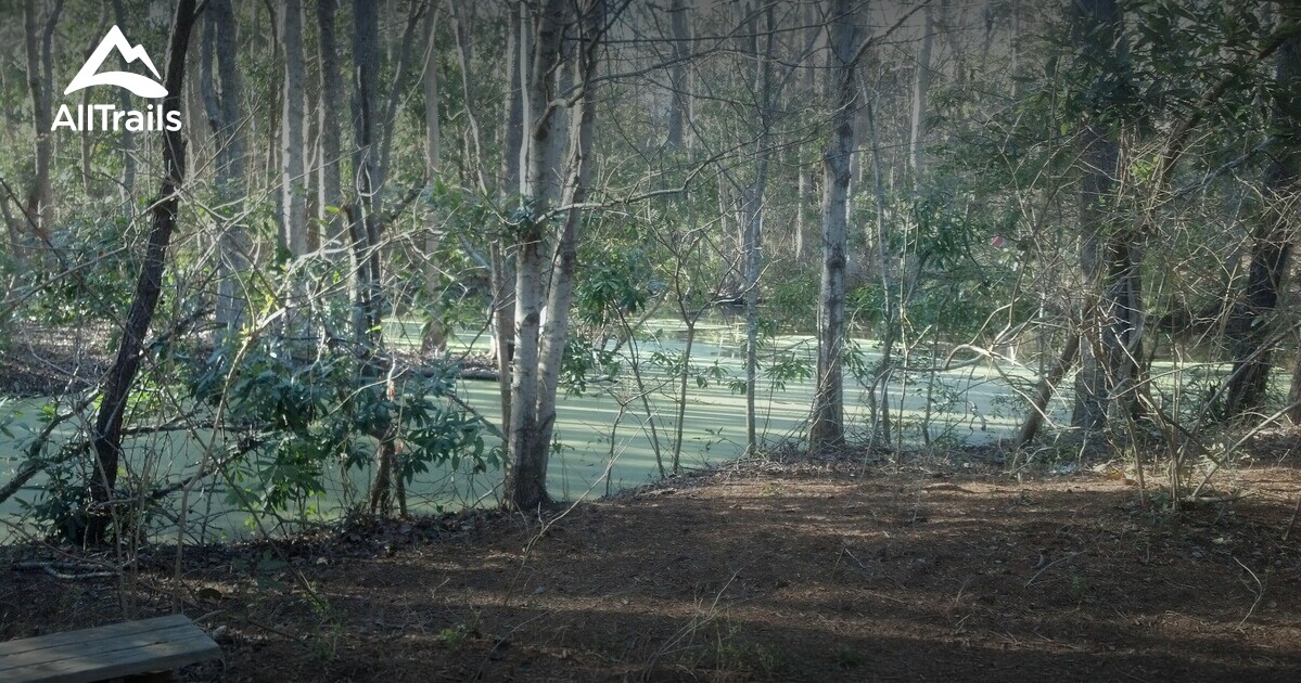 Die Besten Kurzen Routen in Nags Head | AllTrails