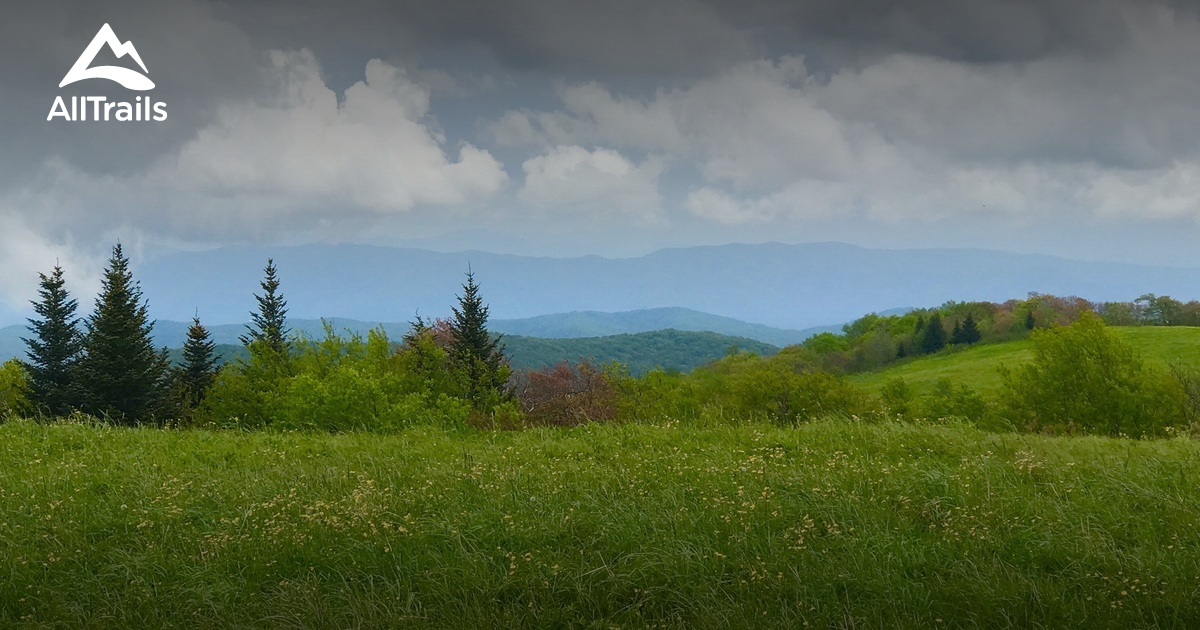 10 Best trails and hikes in Robbinsville | AllTrails