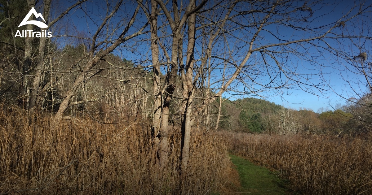 Best hikes and trails in Scottville | AllTrails