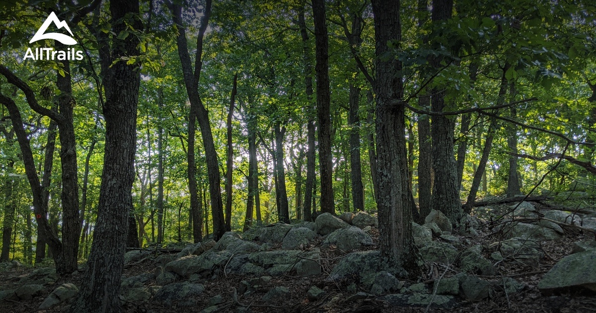 Best hikes and trails in Snow Camp | AllTrails