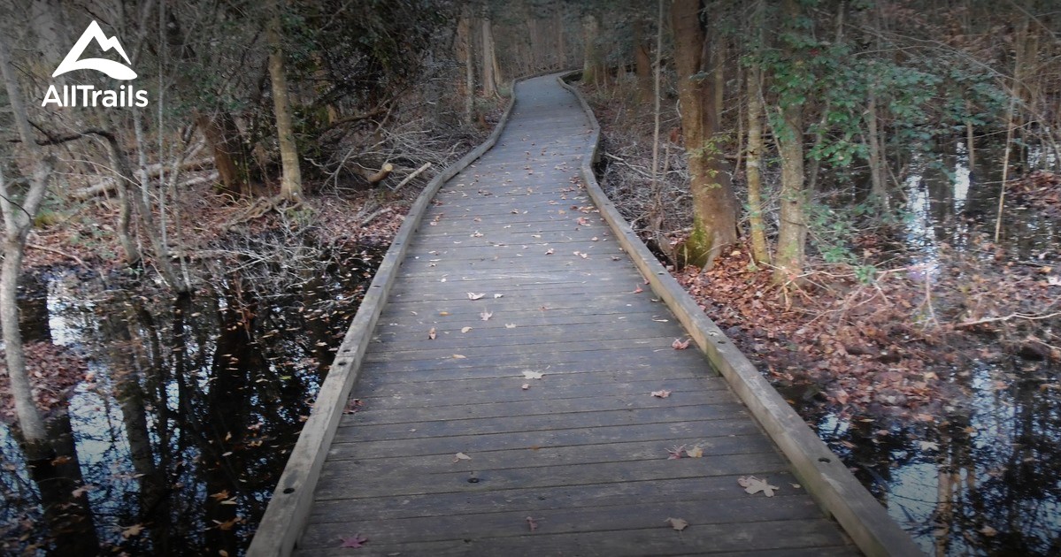 Best Trails near South Mills, North Carolina | AllTrails