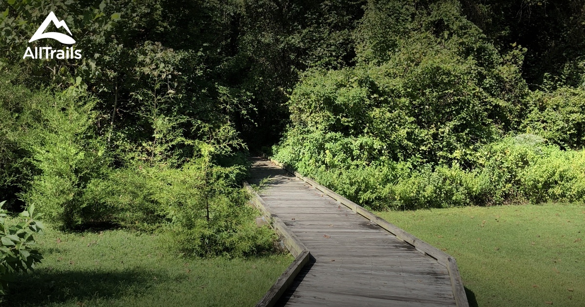 10 Best trails and hikes in South Mills | AllTrails