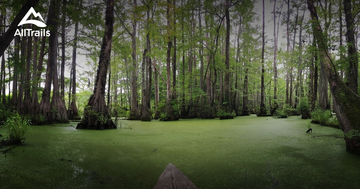 Best hikes and trails in Sunbury | AllTrails