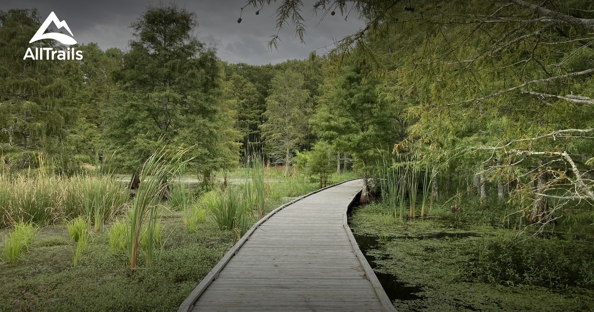 Best hikes and trails in Swanquarter | AllTrails
