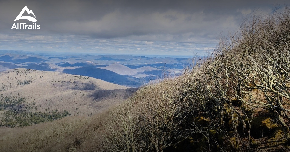 Best hikes and trails in Zionville | AllTrails