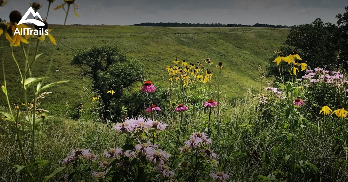 Best camping trails in Fort Ransom | AllTrails