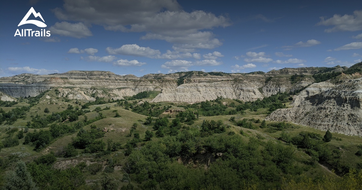 Best forest trails in Killdeer | AllTrails