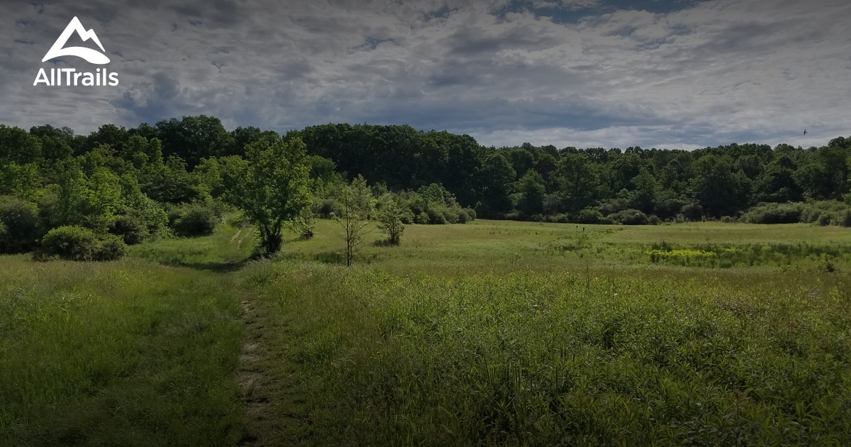 10 Best trails and hikes in Akron | AllTrails