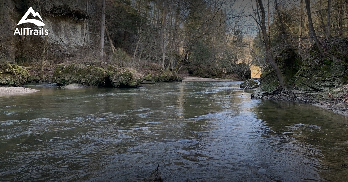 10 Best river trails in Bainbridge | AllTrails