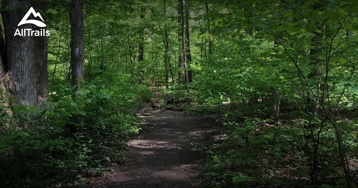 10 Best trails and hikes in Brecksville | AllTrails
