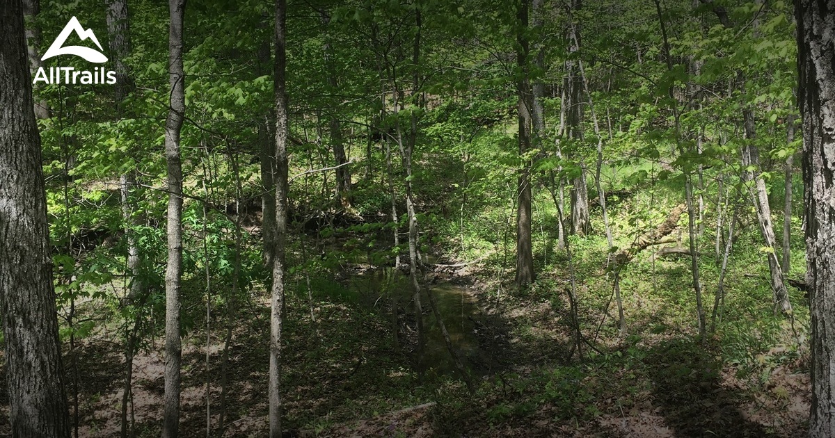 Best easy trails in Bucyrus | AllTrails