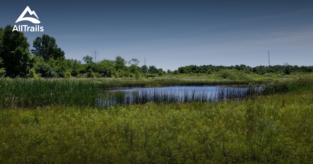Best forest trails in Canfield | AllTrails