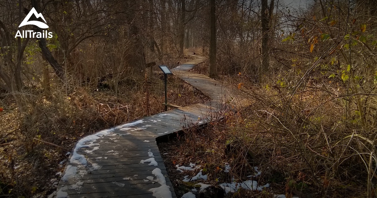 Best hikes and trails in Carey | AllTrails