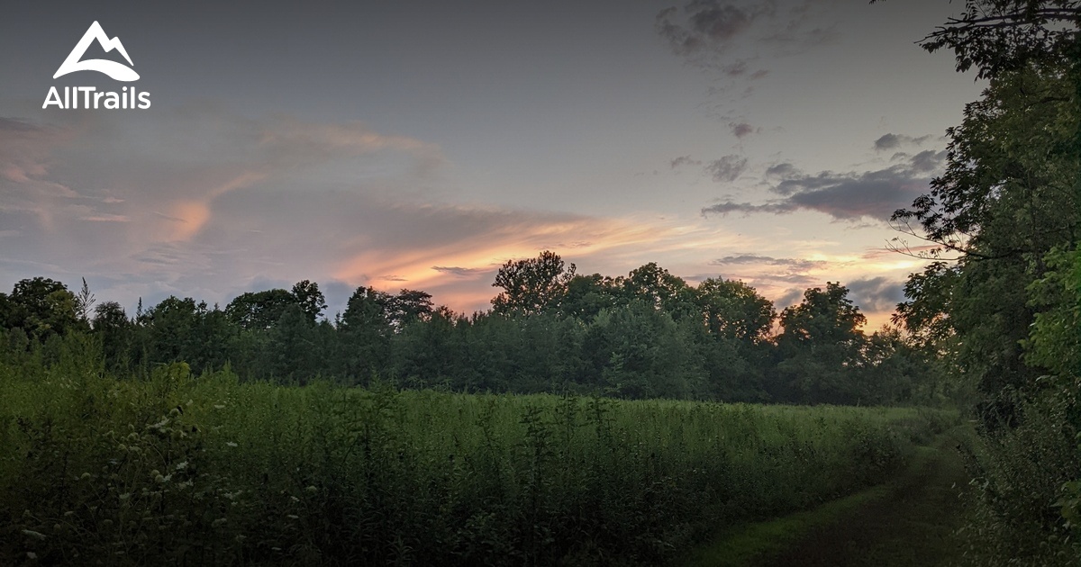 10 Best trails and hikes in Centerville | AllTrails
