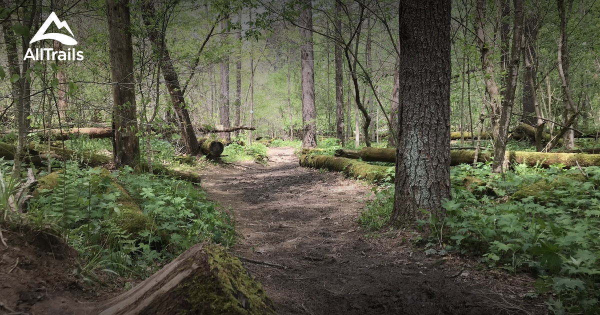 Best hikes and trails in Corning | AllTrails