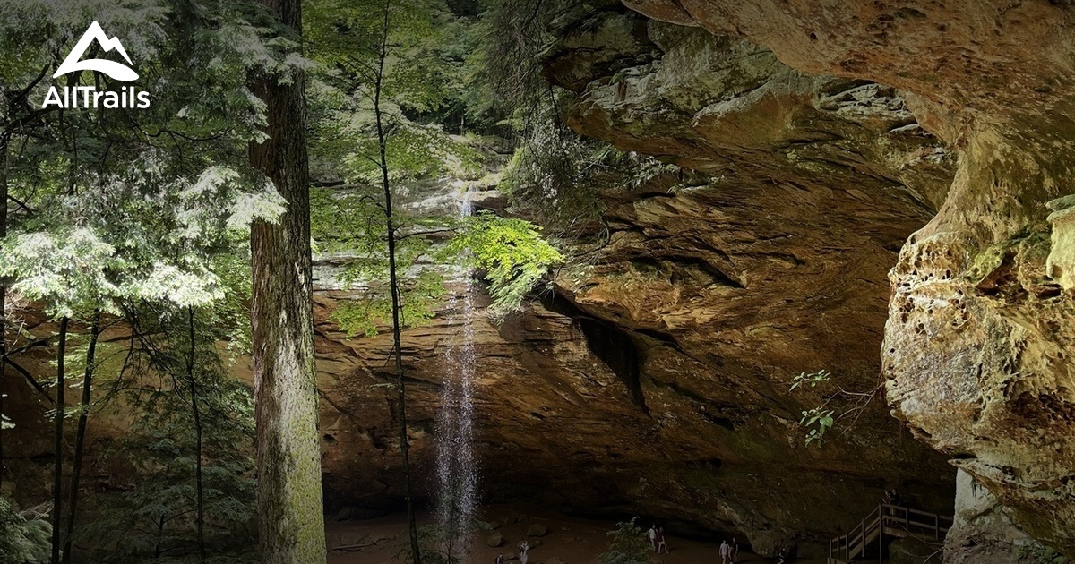 Best forest trails in Creola | AllTrails