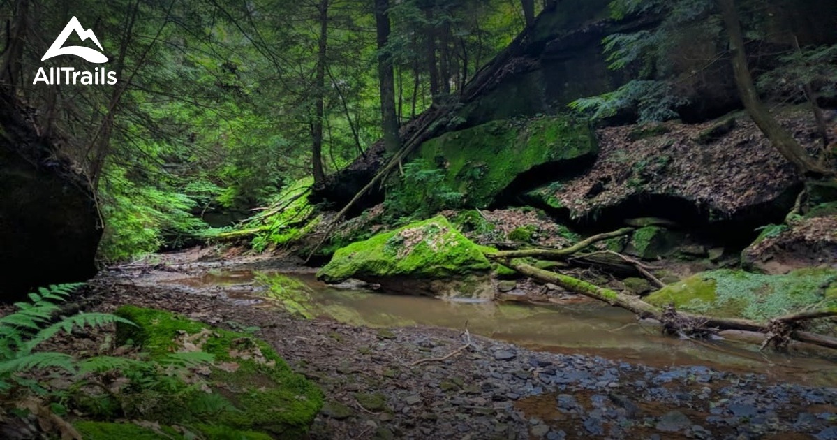 Best hikes and trails in Cutler | AllTrails