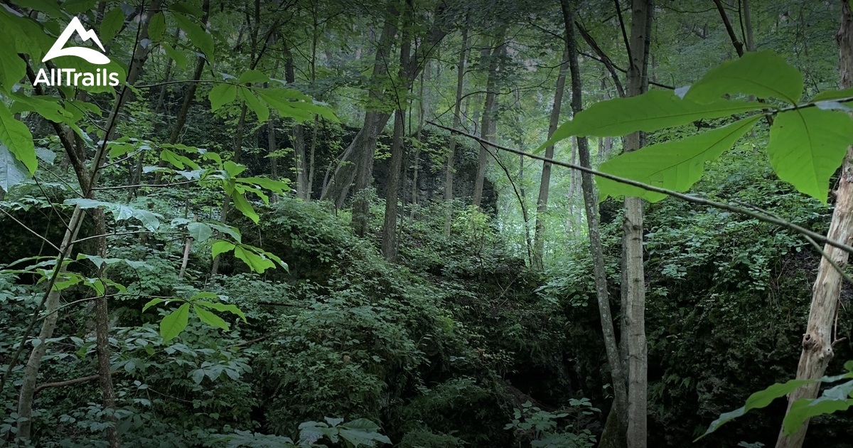 Best views trails in Cynthiana | AllTrails