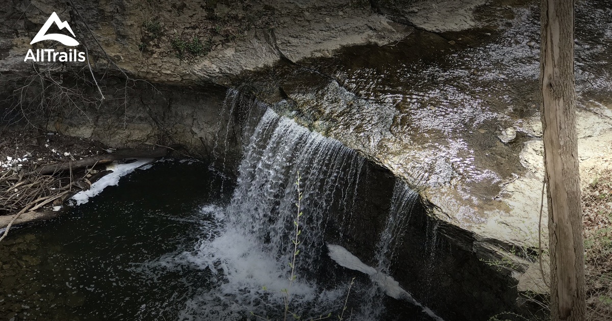Best forest trails in Dublin | AllTrails