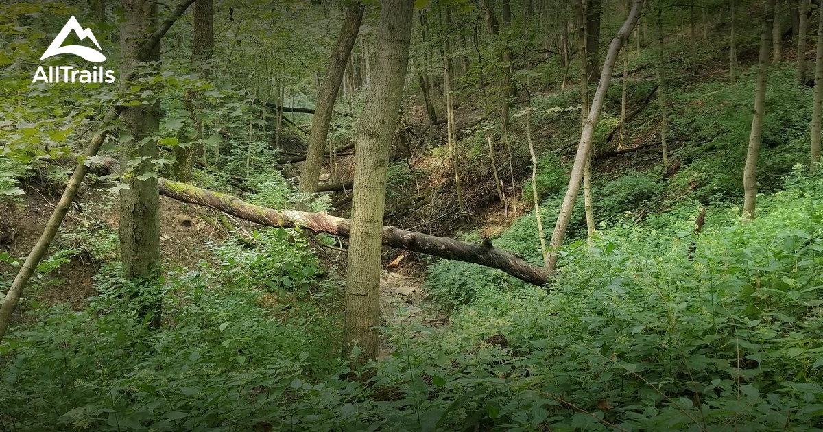 10 Best trails and hikes in Fairfield | AllTrails