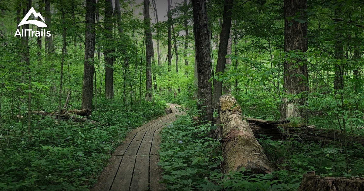 Best hikes and trails in Fletcher | AllTrails