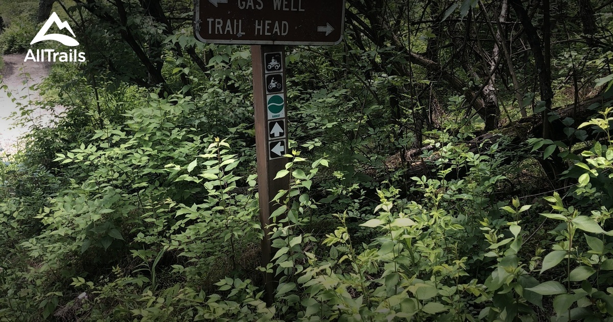 Best hikes and trails in Hanging Rock | AllTrails