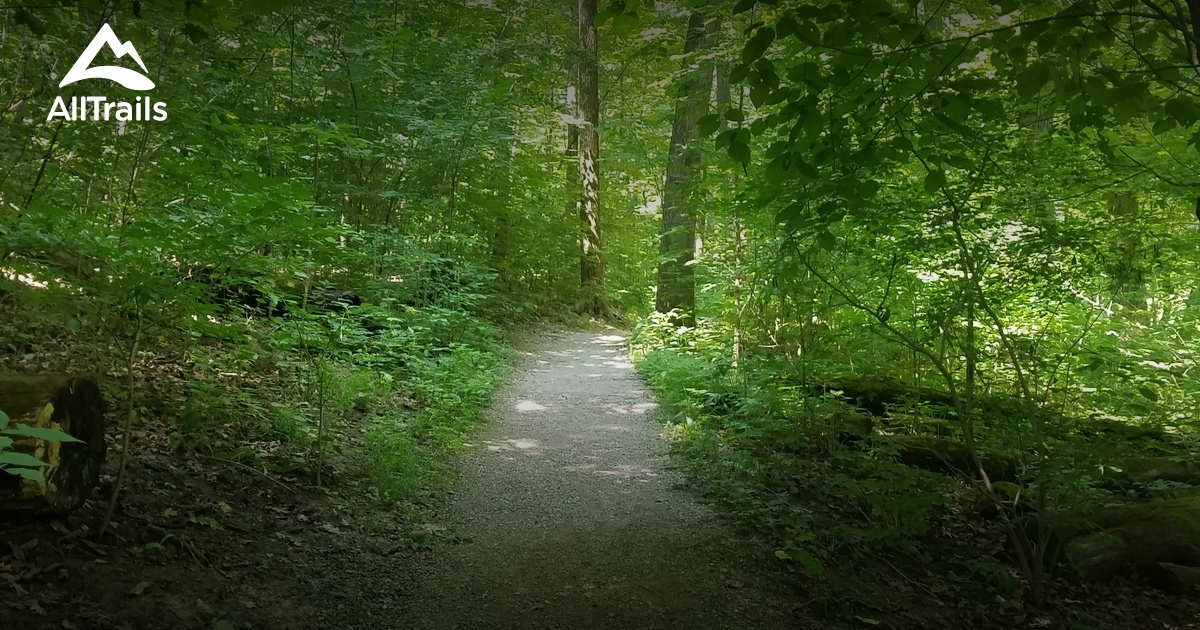 Best hikes and trails in Harrison | AllTrails