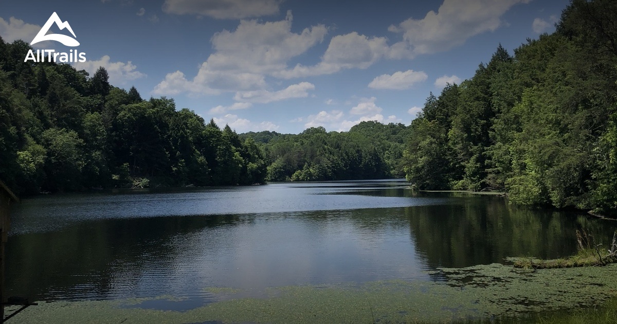 Best forest trails in Jackson | AllTrails