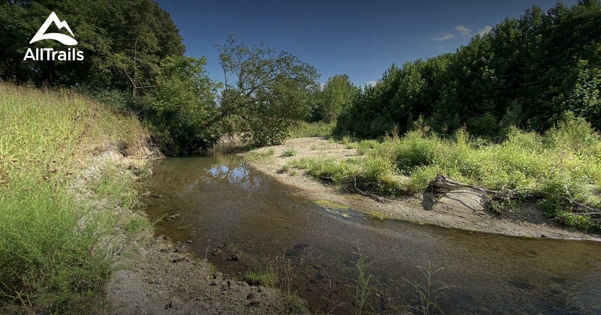 Bedste skovruter i Kingston | AllTrails