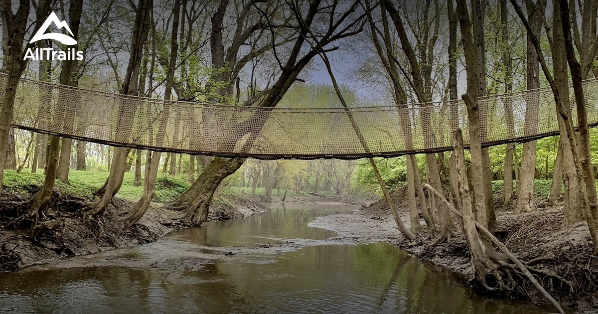 Best forest trails in Lockbourne | AllTrails