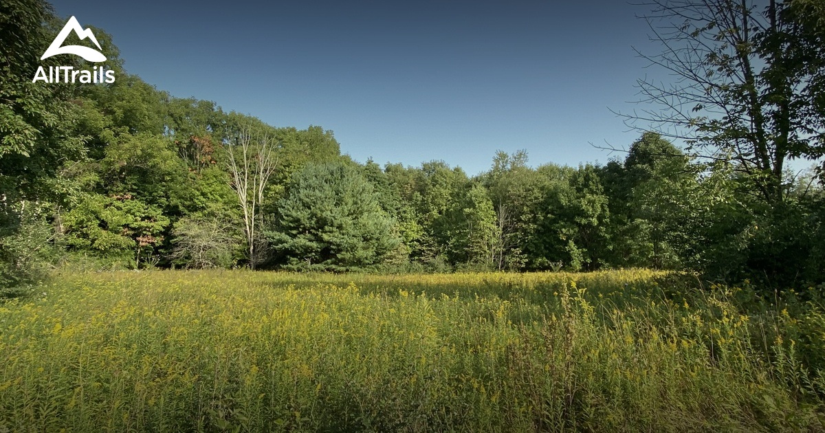 Best forest trails in Lucas | AllTrails