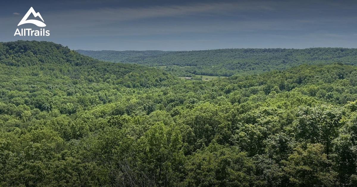 Best hikes and trails in Lynx | AllTrails