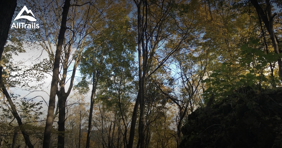 Best forest trails in Manchester | AllTrails