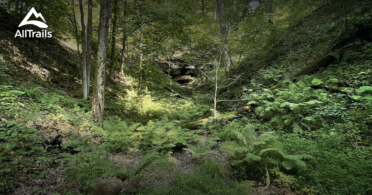 Best historic site trails in Mc Arthur | AllTrails