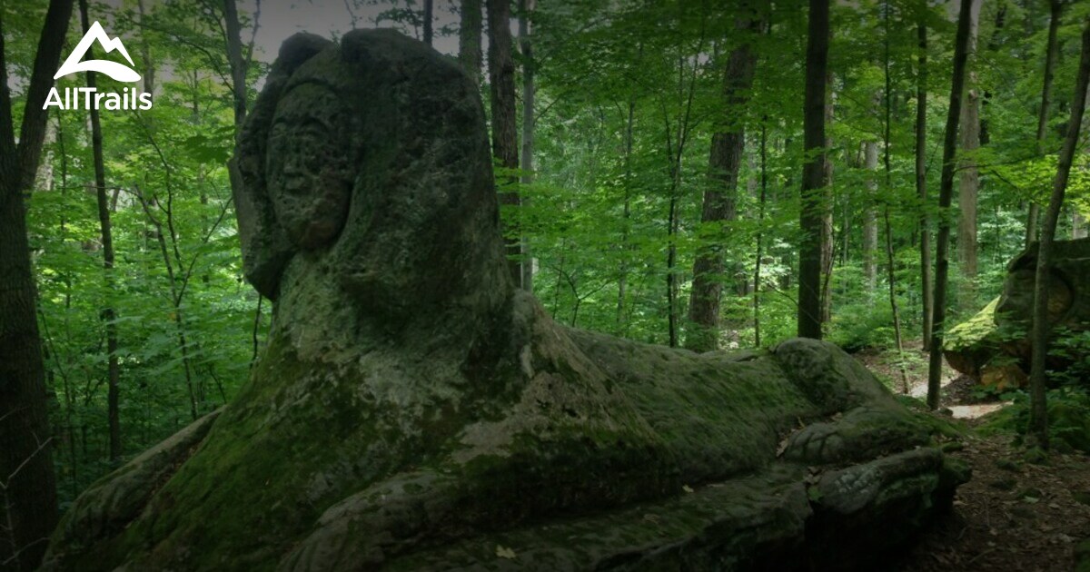10 Best trails and hikes in Medina | AllTrails
