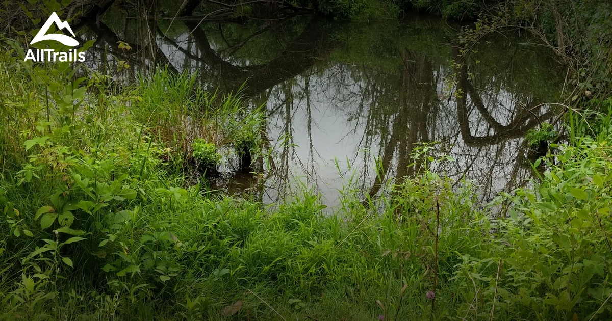 Best hikes and trails in Medway | AllTrails