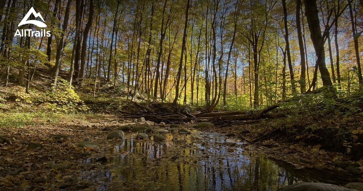 Best hikes and trails in Middlefield | AllTrails