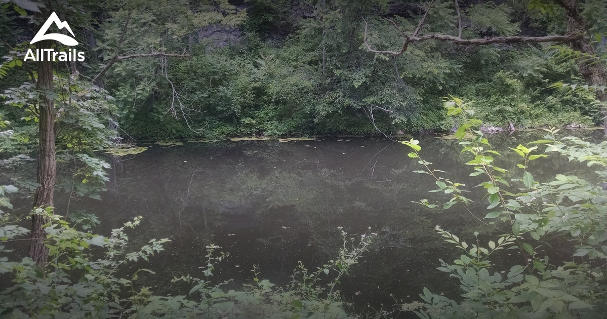 Best hikes and trails in Mingo Junction | AllTrails