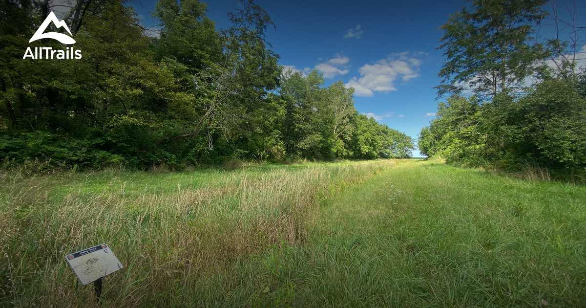 Best hikes and trails in Minster | AllTrails