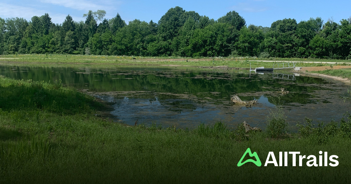 Best forest trails in Monclova | AllTrails