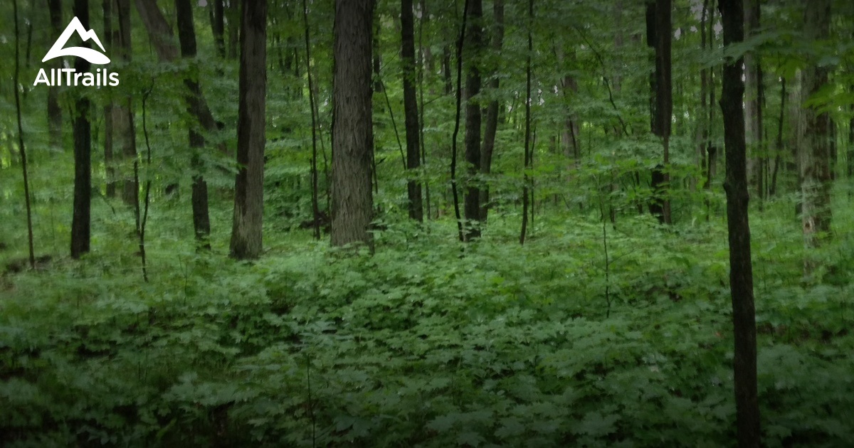 Best hikes and trails in Montpelier | AllTrails