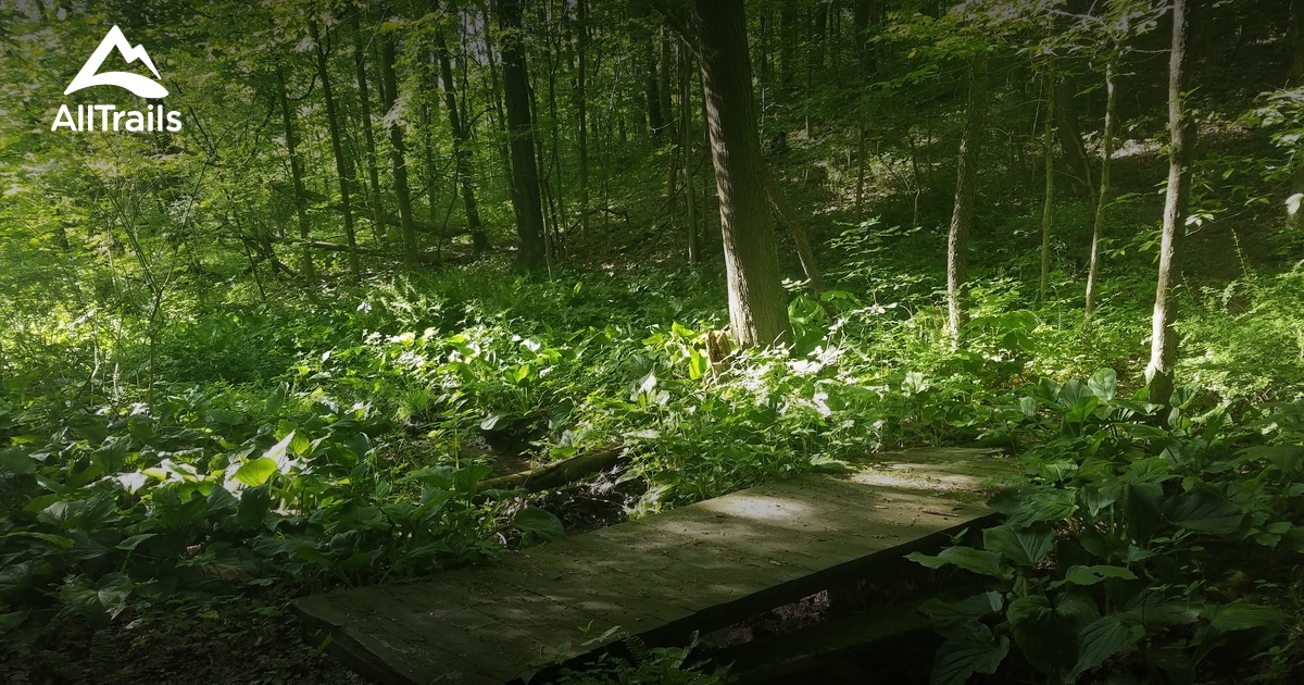 Best hikes and trails in New Concord | AllTrails