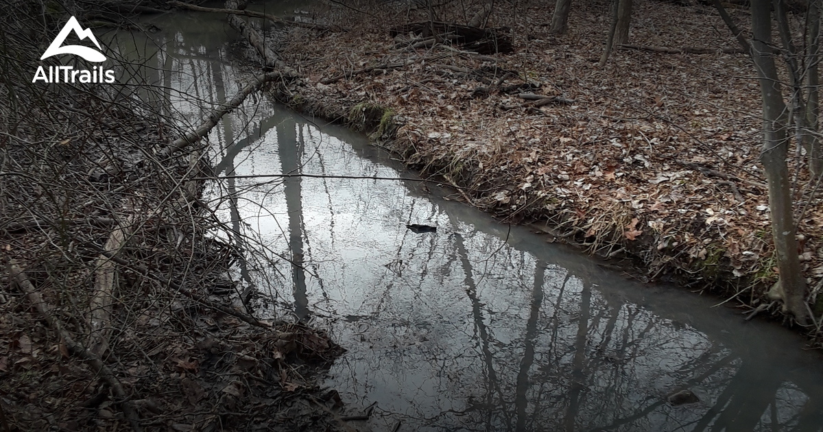 De beste hondvriendelijke routes in Norwalk | AllTrails